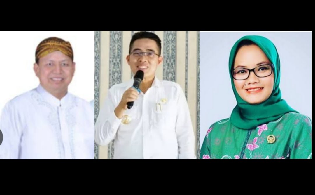 Survei LSI Pilkada Lampung Timur 2024, Dawam Rahardjo 61,1 persen Ela 11,4 Persen - Radar24.co.id